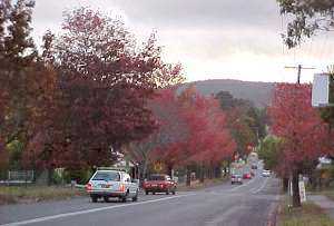 Mittagong